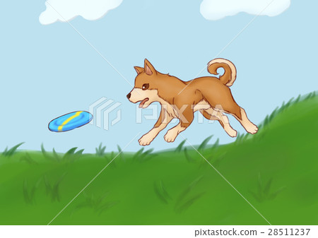 Shiba Inu Frisbee Prairie - Stock Illustration [28511237] - PIXTA