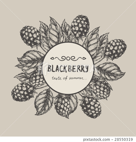 Blackberry Raspberry design template. Blackberry - Stock Illustration ...