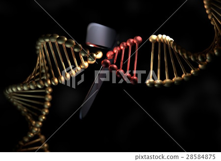 DNA cut the part with a scissor 3d illustration - Stock Illustration ...