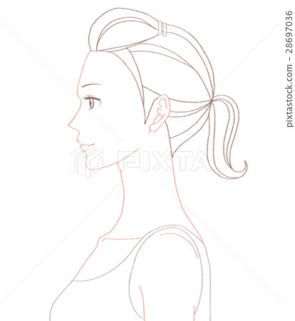 Women's upper body horizontal line drawing - Stock Illustration ...