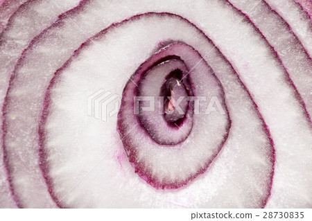 Red Onion Slice cross section - Stock Photo [28730835] - PIXTA