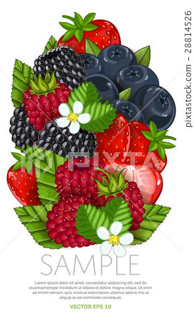 Fresh berries mix isolated, raster illustration-插圖素材 [28814526] - PIXTA圖庫