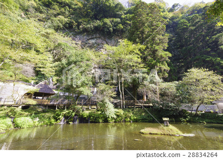 Circumference In Nature