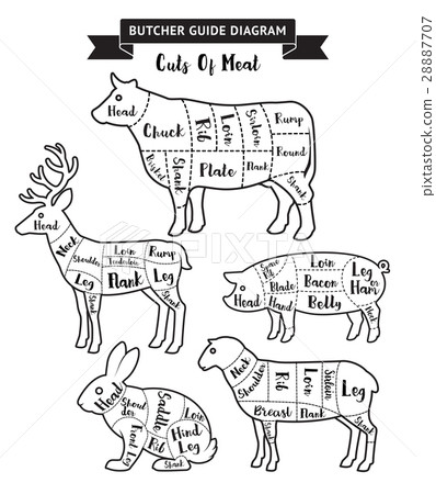 Butcher guide cuts of meat diagram. - Stock Illustration [28887707] - PIXTA