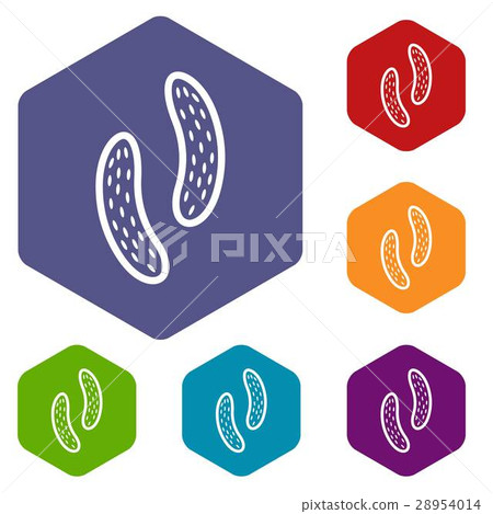Epithelial cell icons set - Stock Illustration [28954014] - PIXTA