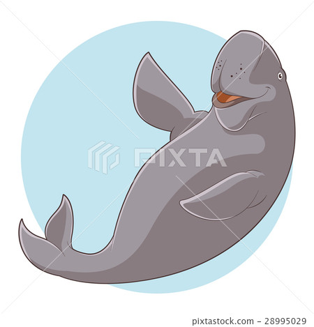 Cartoon Smiling Dugong - Stock Illustration [28995029] - PIXTA