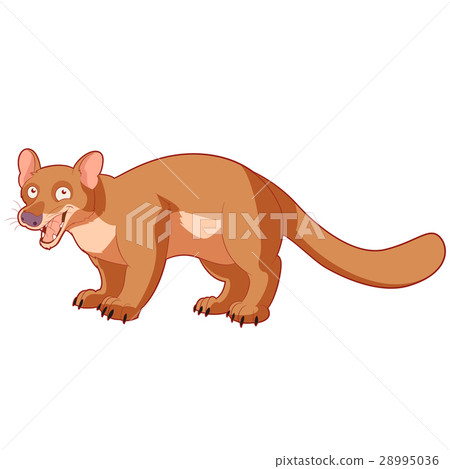 Cartoon smiling fossa-插圖素材 [28995036] - PIXTA圖庫