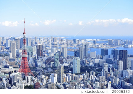 Tokyo city landscape Tokyo Tower - Stock Photo [29036383] - PIXTA