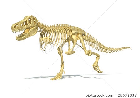 T-Rex dinosaur full skeleton, photo-realistic,... - Stock Illustration ...
