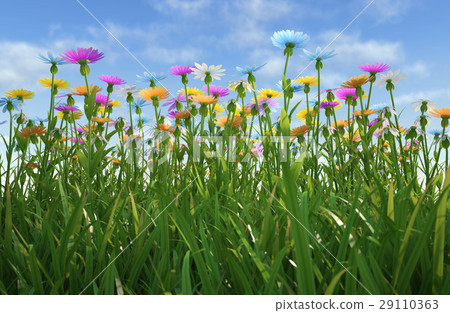Flowers of different colors, in a grass field. - Stock Illustration ...