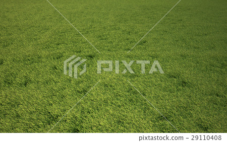 Grass meadow, bird eye view. - Stock Illustration [29110408] - PIXTA