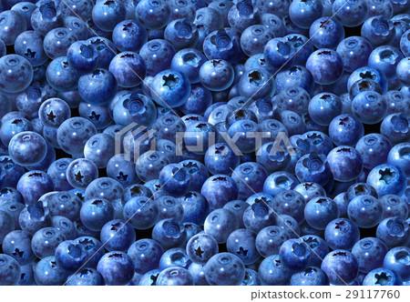 Blueberry collection - Stock Illustration [29117760] - PIXTA