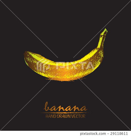 Digital vector detailed banana hand drawn - Stock Illustration ...