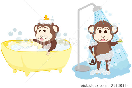 Monkey shower and bathe at bathroom. - Stock Illustration [29130314 ...
