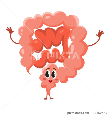 Cute and funny, smiling healthy bowel, intestine - Stock Illustration ...
