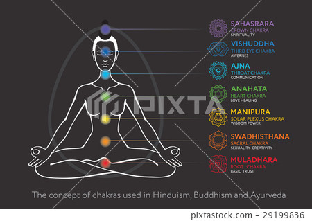 Chakra system, asana padmasana - Stock Illustration [29199836] - PIXTA