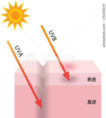 紫外線 插圖素材 29200039 Pixta圖庫