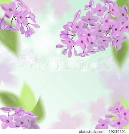 Vector web banners with lilac flowers. - Stock Illustration [29239801 ...