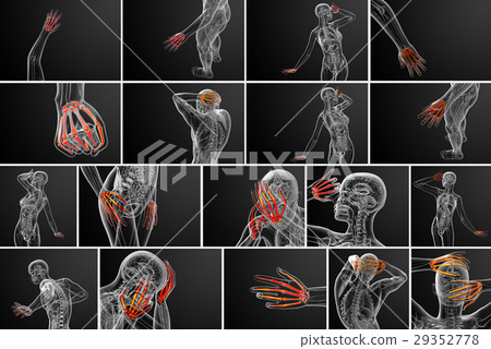 3d rendering illustration of the skeleton hand - Stock Illustration ...