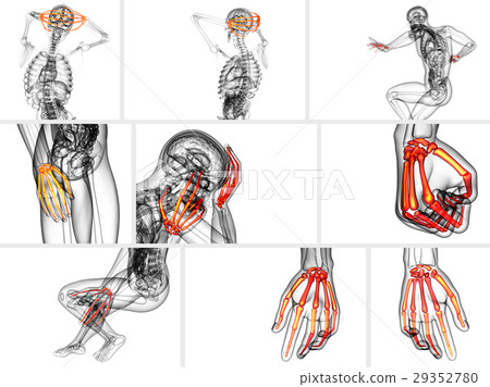 3d rendering illustration of the skeleton hand - Stock Illustration ...