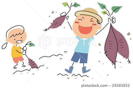 Potato digging - Stock Illustration [29383052] - PIXTA