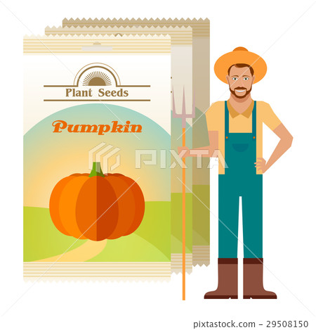 Pack of Pumpkin seeds - Stock Illustration [29508150] - PIXTA