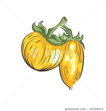 yellow Tomato drawing icon vector - Stock Illustration [29594013] - PIXTA