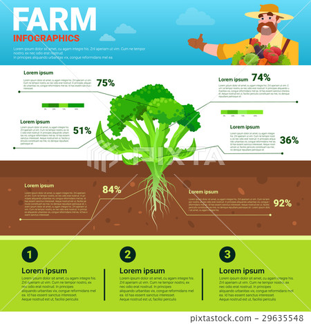 Farming Infographics Eco Friendly Organic Natural - Stock Illustration ...