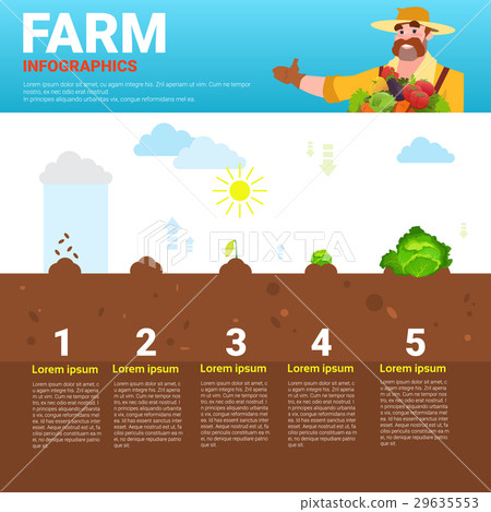 Farming Infographics Eco Friendly Organic Natural - Stock Illustration ...