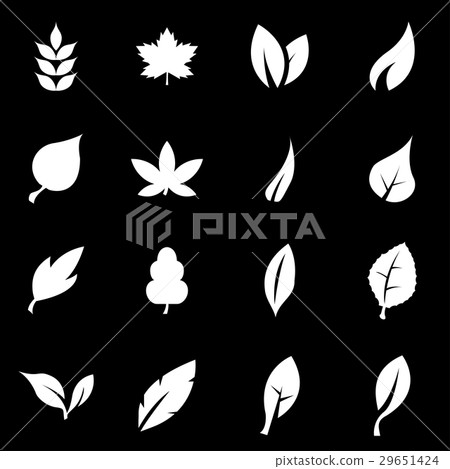 Vector white leaf icon set - Stock Illustration [29651424] - PIXTA