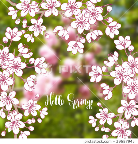 Spring background with sakura - Stock Illustration [29687943] - PIXTA