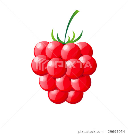 raspberry isolated on white background - Stock Illustration [29695054 ...