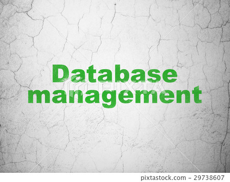Software concept: Database Management on wall - Stock Illustration ...