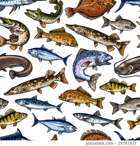 Fish sketch vector seamless pattern - Stock Illustration [29787917] - PIXTA