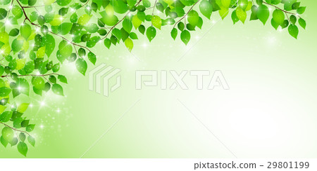 New green leaves Spring background - Stock Illustration [29801199] - PIXTA