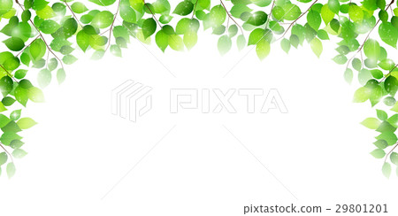 New green leaves Spring background - Stock Illustration [29801201] - PIXTA