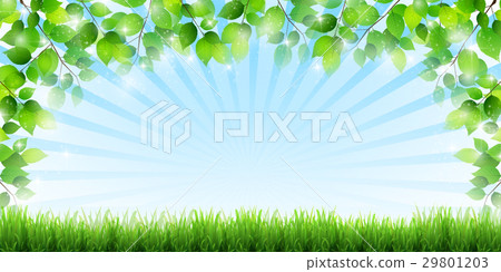 New green leaves Spring background - Stock Illustration [29801203] - PIXTA