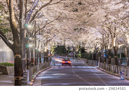 Japanese spring urban landscape of Tokyo [night... - Stock Photo ...