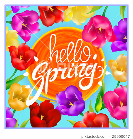 Hello Spring. Vector bright colorful tulips. - Stock Illustration ...