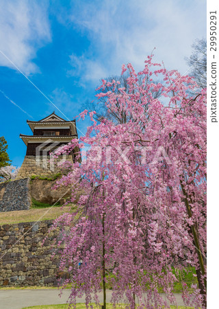 Urcha of Ueda castle and drooping cherry tree - Stock Photo [29950291 ...