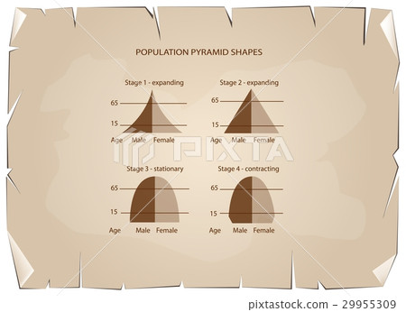 Four Types of Population Pyramids - Stock Illustration [29955309] - PIXTA