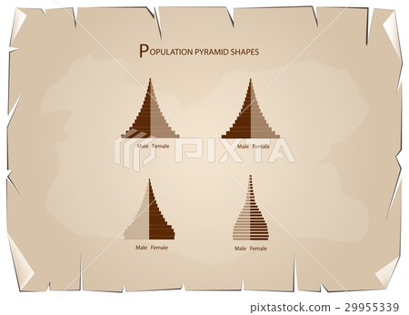 The 4 Types of Population Pyramids Graphs - Stock Illustration ...