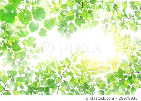 New green leaves Spring background - Stock Illustration [29979936] - PIXTA