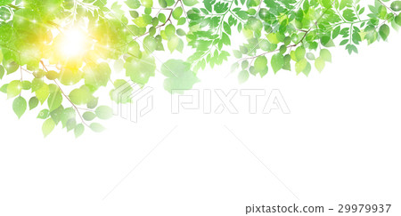 New green leaves Spring background - Stock Illustration [29979937] - PIXTA