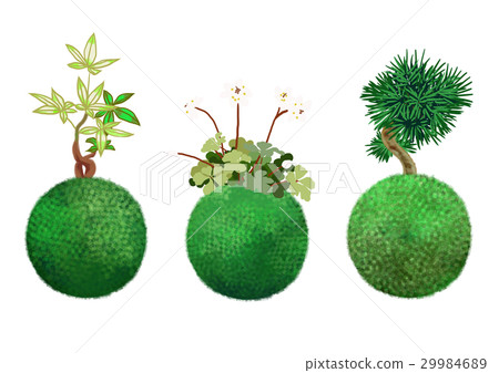 Three types of moss balls - Stock Illustration [29984689] - PIXTA