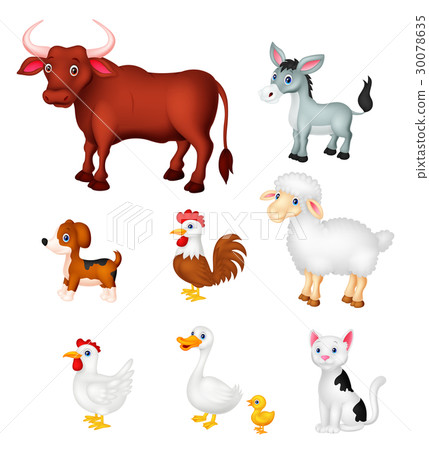 Farm animal collection set - Stock Illustration [30078635] - PIXTA