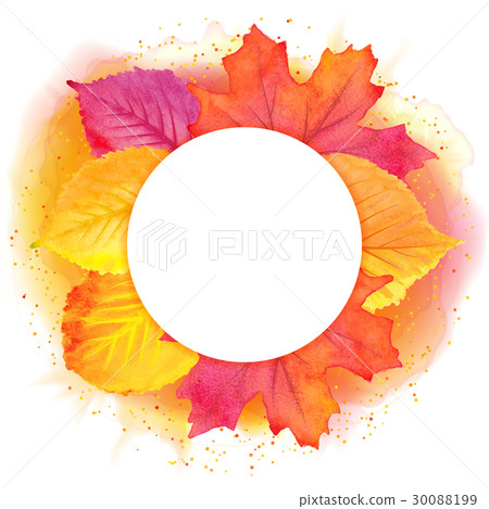 Round border of various autumn leaves isolated on - Stock Illustration ...