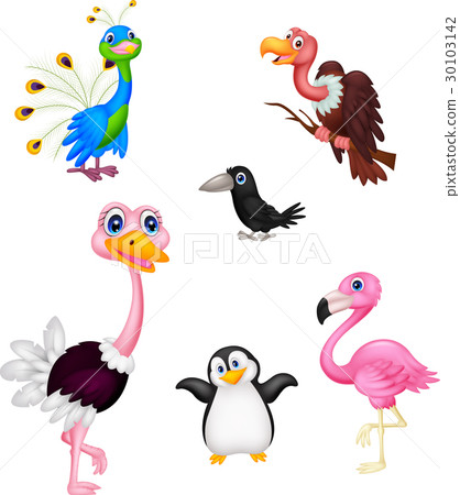 Bird cartoon collection - Stock Illustration [30103142] - PIXTA