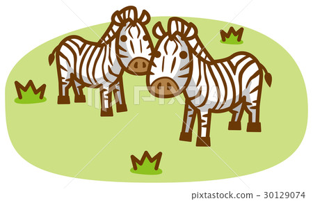 Zebra and prairie - Stock Illustration [30129074] - PIXTA