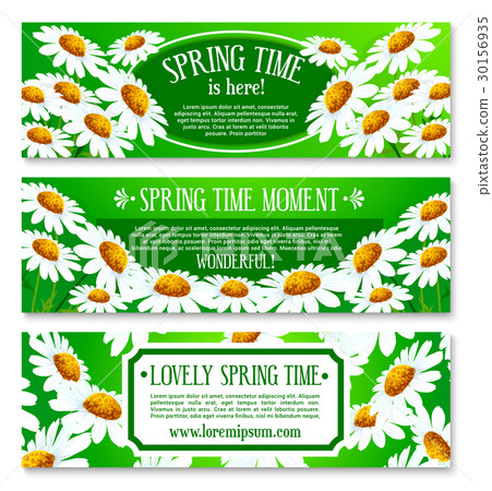 Spring daisy flowers banner set design - Stock Illustration [30156935 ...